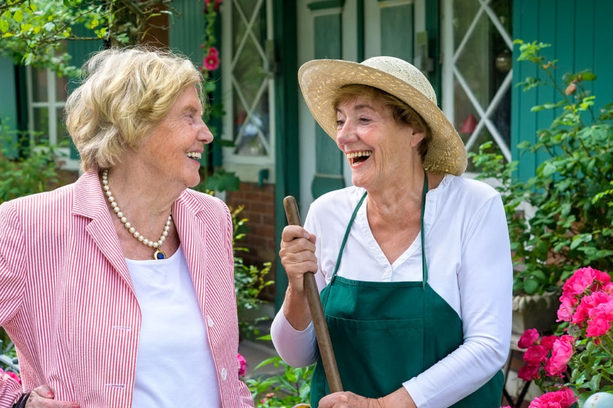 Should a Neighbour Share the Cost for a New Fence? - ColourFence Limited