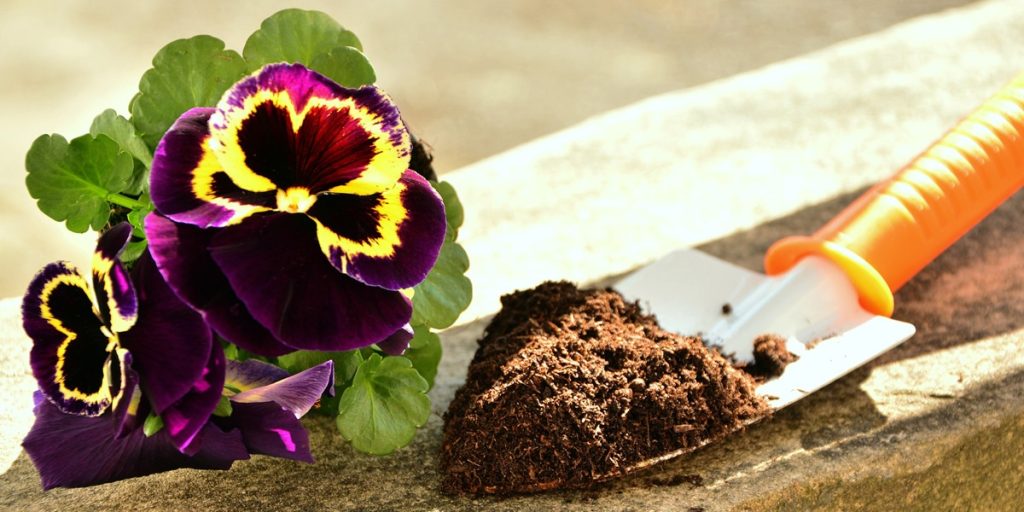 How to Prepare Your Garden For Spring - ColourFence Limited